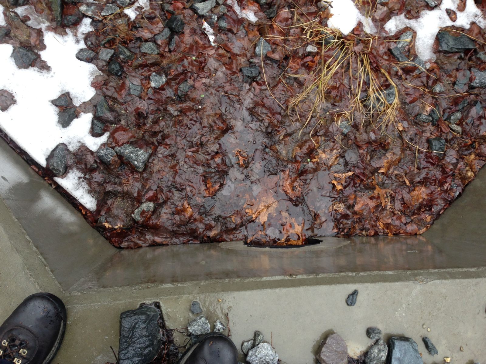 Shop Talk Blog Post - Observation and Maintenance of BMPs, Why It’s ...